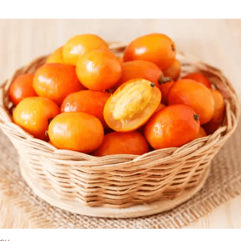 Spanish plum / Red Mombin (Spondias purpurea) topical fruit live tree ...