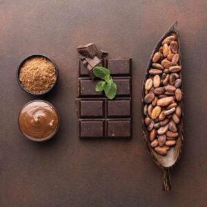 Cacao forastero (Theobroma cacao) tropical live fruit tree 1’-2’ feet ...