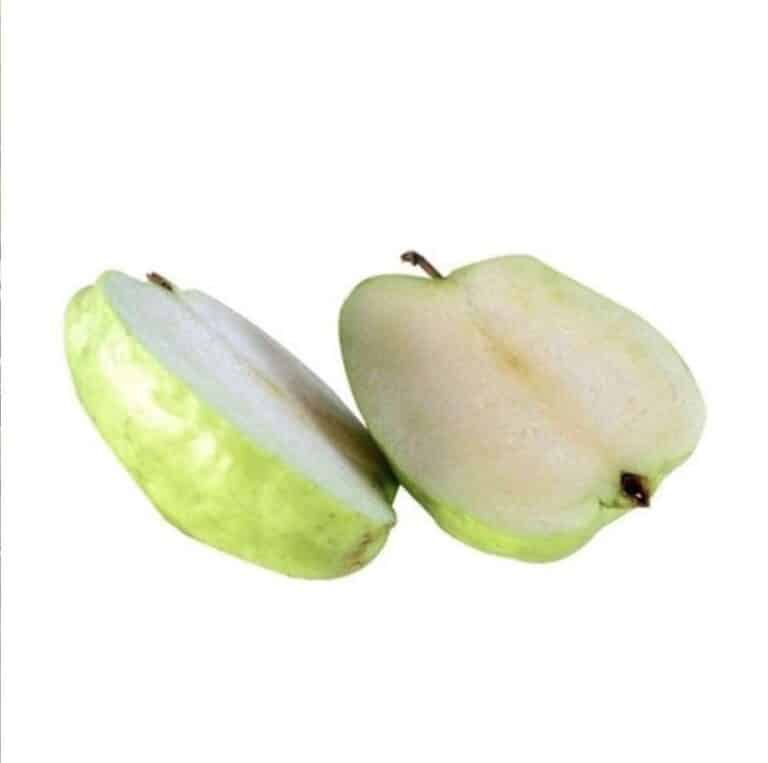 Indonesian Seedless Guava (Psidium guajava ) live fruit tree 1’-2’ feet ...