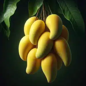 Golden Yellow Soursop (Annona muricata ) live fruit tree 3'-4 feet ...