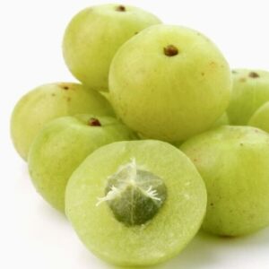 Amla / Indian gooseberry (Emblica officinalis) live tropical fruit tree ...