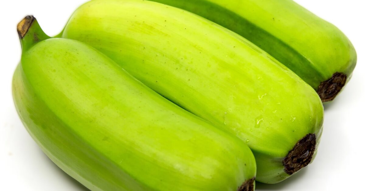 The Hua Moa banana / Hawaiian Plantain (Musa acuminata) live plant ...